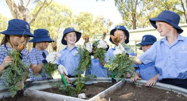 Parish Schools - Singleton Branxton Catholic Parishes